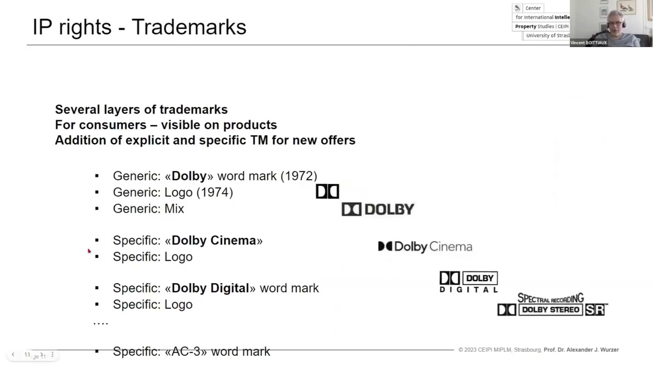 Protection of business models and business model innovation with IP ...